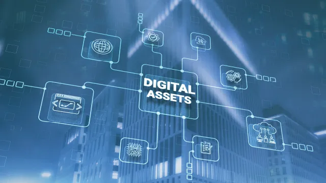 Canto Launches Comprehensive PIM Platform for Digital Asset Management